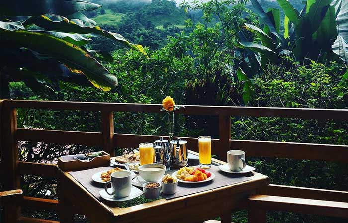 The EcoLodge. Mindo Hotels Cloud Forest Eco Lodges, Garden