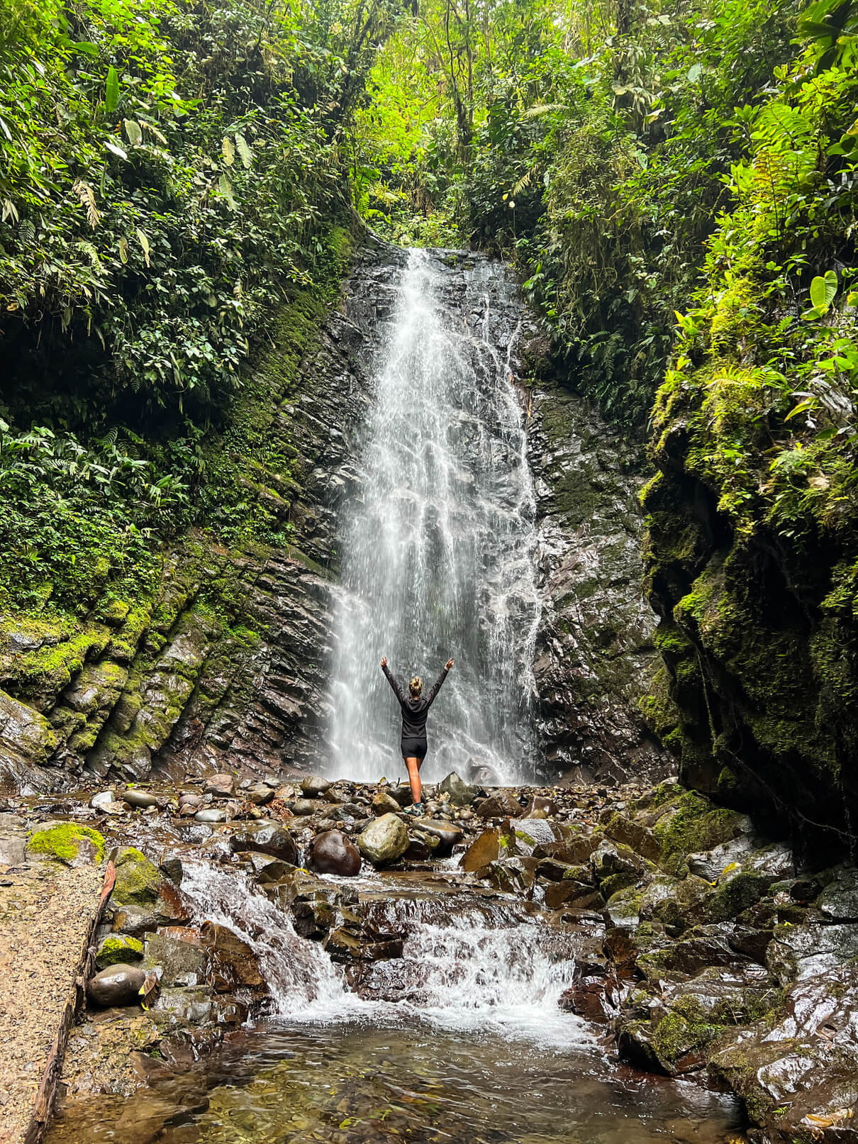 Mindo Lodges Cloud Forest Hotel - Eco Resort Ecuador